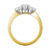 Floral Inspired Oval Half Halo Engagement Ring | Waldemar Jewellers
