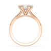 Six Claw Cathedral Style | Solitaire Diamond Engagement Ring